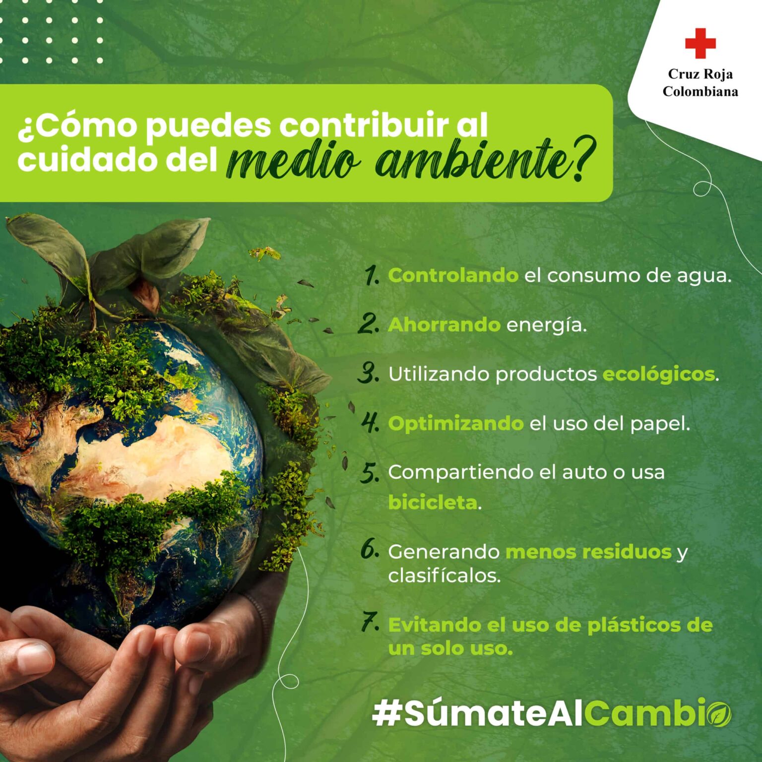 #SúmateAlCambio ¿Cómo puedes contribuir al cuidado del medio ambiente ...